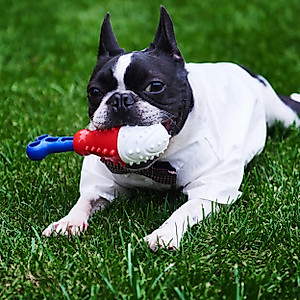 AL AILAIKE Dog Chew Toys for Aggressive Chewers,Puppy Toothbrush Clean Teeth Toys,Interactive Training Chew Toy , Dental Oral Care for Small Medium Dogs (Chicken Leg)