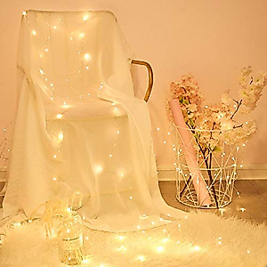 Twinkle Star 33FT 100 LED Silver Wire String Lights Fairy String Lights Battery Operated LED String Lights for Christmas Wedding Party Home Holiday Decoration, Warm White, Pack of 1