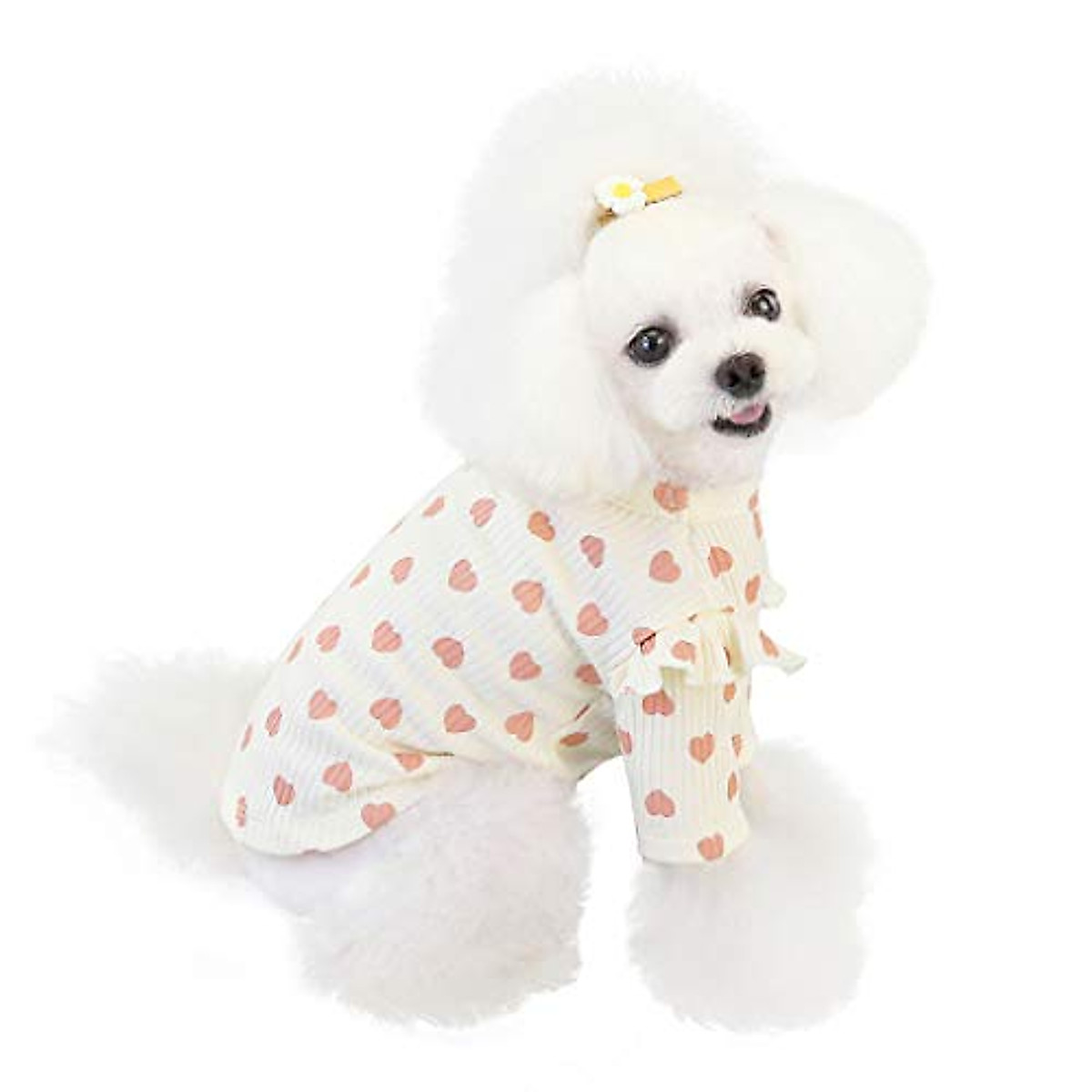 Clothes Dog Dress Print Pet Bottoming Breathable Dress Rabbit Cat Lace Pet Clothes Puppy Clothes for Girl Dogs