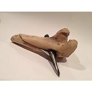 Jak-Knife by Wasp Archery