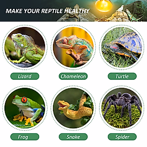 MIXJOY 2 Pack 100W Reptile Heat Lamp Bulb Full Spectrum UVA UVB Sun Light for Reptile and Amphibian Use