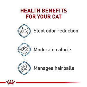 Royal Canin Feline Health Nutrition Dry Indoor Cat Food, Supports Healthy Weight, Digestive Health and Hairball Management, 3 lb Bag
