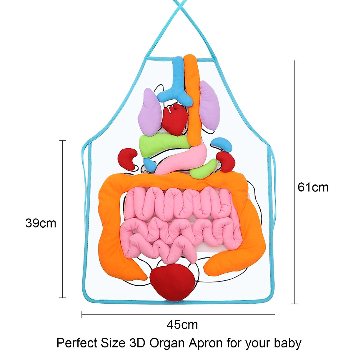 KAKIBLIN 3D Organ Apron,(Upgrade Version) Anatomy Apron Human Body Organs Awareness Educational Toy for Home Preschool Teaching Aid, Transparent