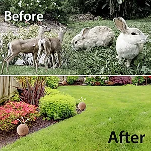 Homsor Rabbit Repellent Outdoor 10 Pack Peppermint Oil Deer Rabbit Away Repellent Balls Pet Safe Bunny Rabbit Deterrent for Garden Yard Lawn to Keep Rabbits Deers from Eating Plants