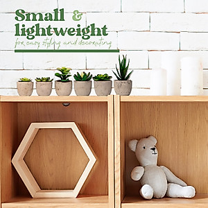 Fake Plant For Desk Decor, Faux Plants Indoor, Succulents Plants Artificial, Small Fake Plants For Office, Fake Succulent Plants, Fake Cactus Plant in Pots 2.3" - 6 Pc Set Mini Fake Succulents