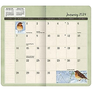 Lang Companies, Birds in The Garden 2 Yr 2024 Pocket Planner