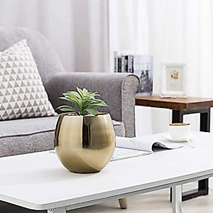 MyGift 6-Inch Brushed Brass Plated Metal Table Vase - Round Bowl-Shaped Succulent Planter Pot - Handcrafted in India