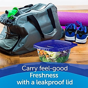 Ziploc Storage Containers Large Rectangle 2 Pack One Press Seal 2.25 QUART