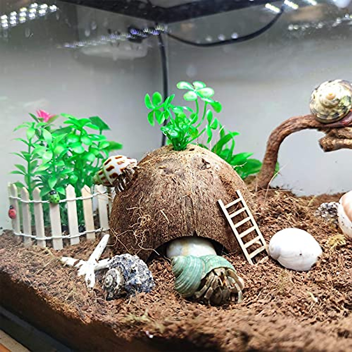 Hermit Crab Shells Natural Coconut Shell Hut Artificial Plants 19 PCS Decoration Supplies House Tank