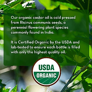 Castor Oil for Eyelashes and Eyebrows - Brow and Lash Growth Serum - Organic Hexane Free Cold Pressed Unrefined - 1 fl oz - Pure Body Naturals