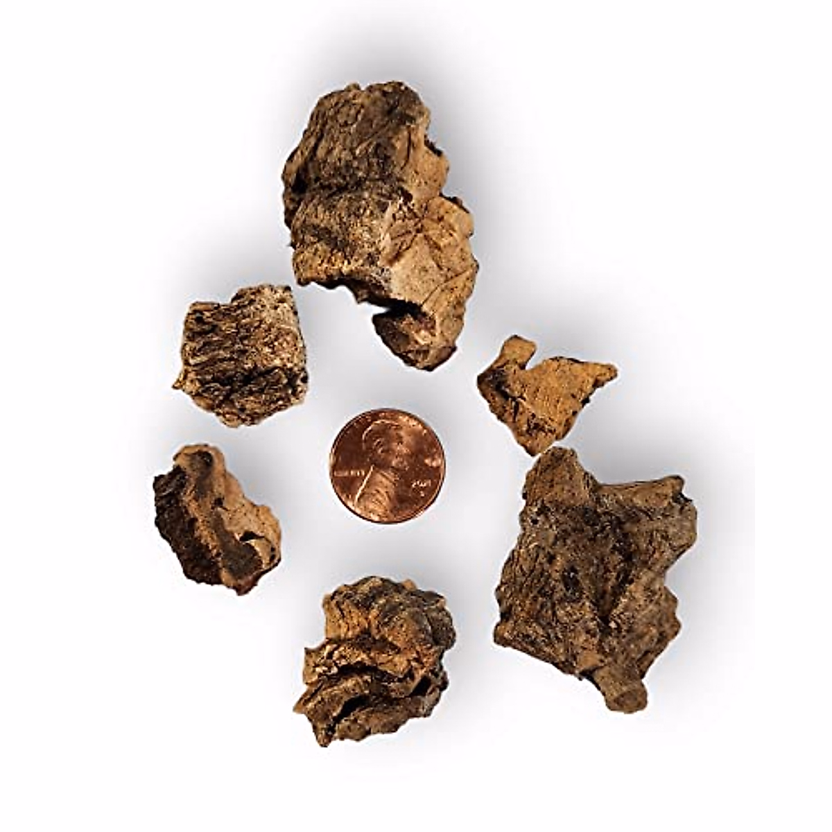 Josh's Frogs Cork Bits (1 Gallon)