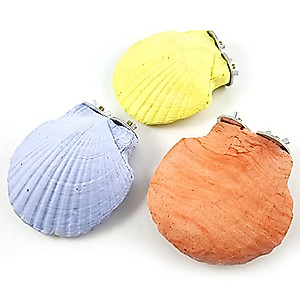 PATKAW Bird Perch Bird Beak Stone Mineral Lava Blocks Trimming Chew Toys Pumice Stones Parrot Perch Stand for Conures Cockatiels Parrots Random Color