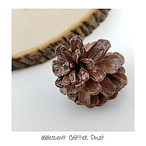 Glitter Dust Ultra Fine Glitter Spray, Iridescent