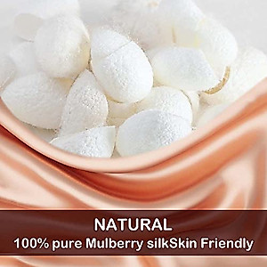 Silk Pillowcase, 100% Mulberry Silk 22 Momme Both Sides Silk Pillow Cases Standard Size for Hair and Skin with Gift Box, 1 Pc (Queen, Champagne)