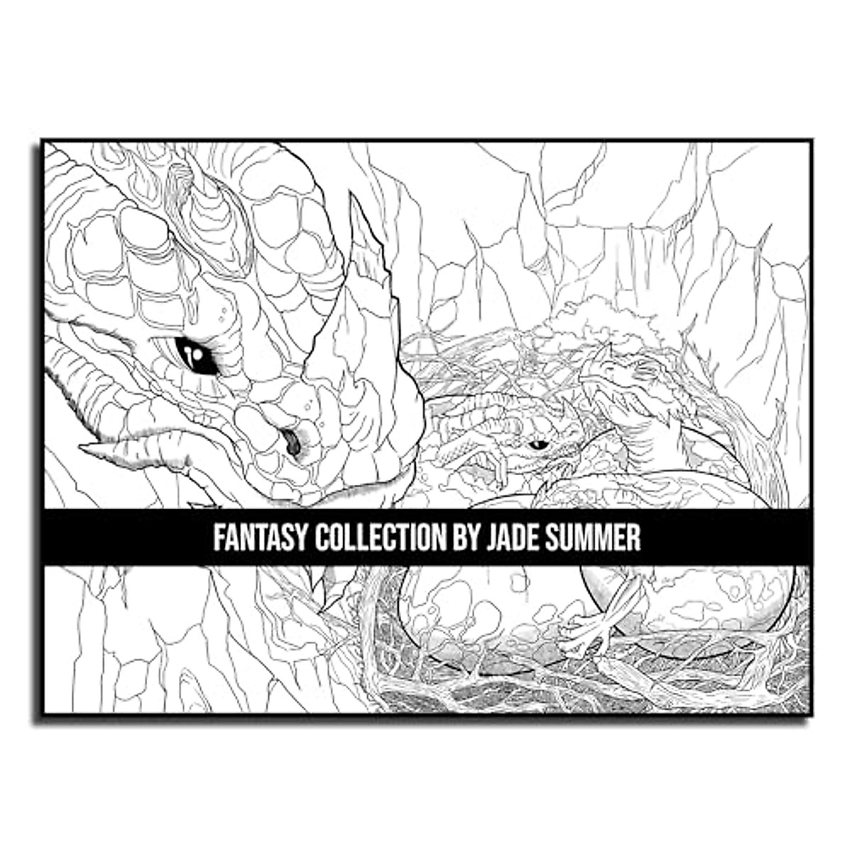 Fantasy Collection: An Adult Coloring Book with 100+ Incredible Coloring Pages of Mermaids, Fairies, Vampires, Dragons, and More!