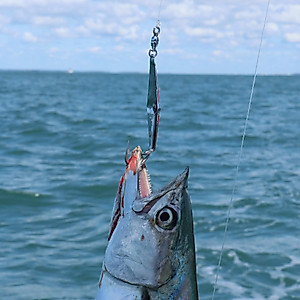 CLARKSPOON Spoon-Squid Precision Fishing Spoon for Spanish Mackerel, Bluefish, Tuna, Atlantic Bonito, & More! - Size 0 Spoon-Squid w/Ball Bearing Swivel - 5 Pack Assortment