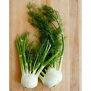 Gaea's Blessing Seeds - Fennel Seeds (2.0g) - Non-GMO Seeds with Easy to Follow Planting Instructions - Herb Seeds 85% Germination Rate