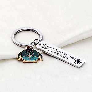 It Never Hurts to Keep Looking for Sunshine Bar Kecyahin with Donkey Charm A.A Milne Quote Jewelry Inspiration Gift (Bar Keychain) Sliver