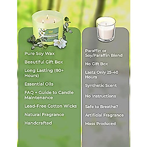 Stress Relief Aromatherapy Candle for Men & Women - Eucalyptus Jasmine 3 Wick Candle with Lavender, Mandarin & Balsam - Strong Scented Candles for Home 15.8 oz - Natural Soy Candles, Eucalyptus Candle
