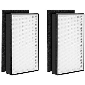 Fette Filter - Filter Type A2 H13 Grade True HEPA, Compatible with Filtrete Room Air Purifier FAP-C02-A2, FAP-C03-A2, FAP-T03-A2, FAP-SC02L, Part # 1150101, Filter A2 - Pack of 2 + 2 Carbon Filters