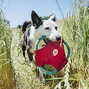 ZippyPaws - Rope Gliderz Durable Outdoor Dog Toy Flying Disc - Magenta