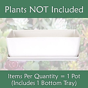 BambooMN Ceramic Succulent Pots - 1 Pot - Short Rectangle - with Ceramic Tray - White - 10.1"