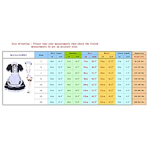 Japanese Anime Sissy Maid Dress Cosplay Sweet Classic Fancy Apron Socks Gloves Faux Fur Cat Furry Headwear Set(L)