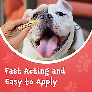 Evergreen Pet Supplies [3 Pack Dog Nose Balm for Soothing Relief from Dryness & Irritation – Snout Balm Provides Seasonal Protection – Nose Butter Dogs Relief Balm Made in USA - 0.15 oz Each