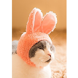 Kitan Club Cat Cap - Pet Hat Blind Box Includes 1 of 5 Cute Styles - Soft, Comfortable - Authentic Japanese Kawaii Design - Animal-Safe Materials, Premium Quality (Rabbit)