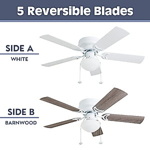 Prominence Home Alvina, 42 Inch Traditional Flush Mount Indoor LED Ceiling Fan with Light, Pull Chain, Dual Finish Blades, Reversible Motor - 80092-01 (White)