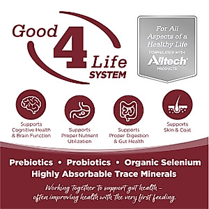 NutriSource Dog Food, Made with Beef and Brown Rice, Wholesome Grains, 5LB, Dry Dog Food