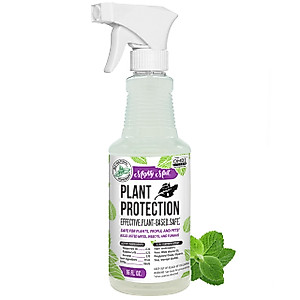 Mighty Mint Peppermint Plant Protection Spray for Insects, Gnats, Fungus, Mites, and Disease, 16 oz