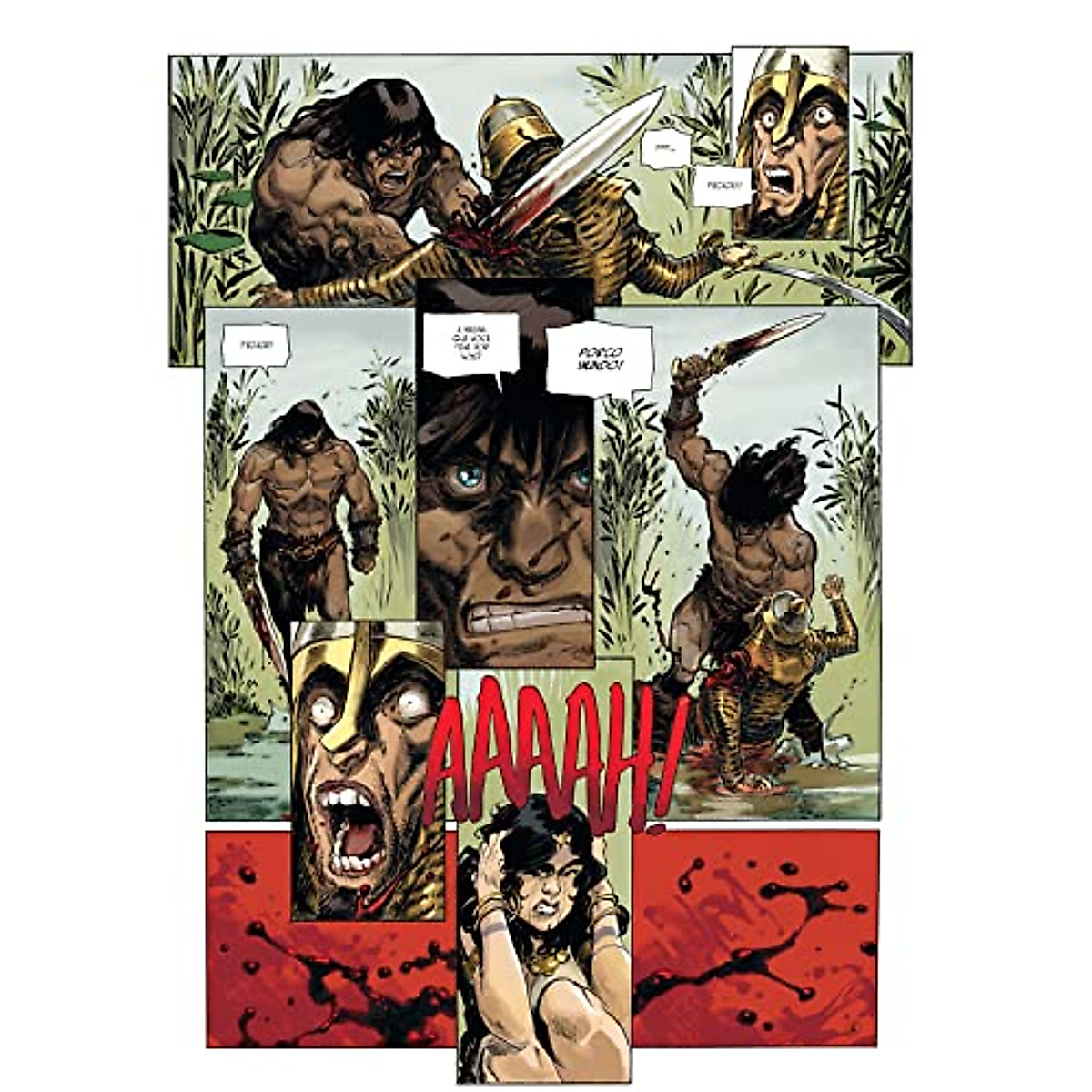 Conan, o Cimério – Edição Definitiva