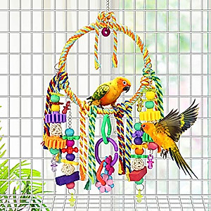 Bird Toys Bird Swing Toy Bird Perches Colorful Chewing Toys for Parakeets Meyers Cockatiel Conure Quaker Caique and Other Medium Sized Birds