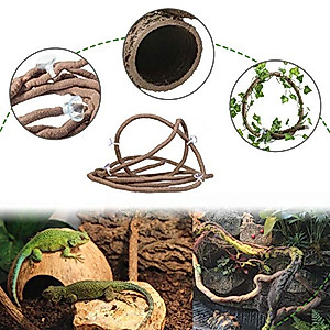 PINVNBY Bearded Dragon Tank Accessories,Reptiles Resin Human Skull Habitat Decor,Lizard Hammock Coconut Shell Hut Hideouts Cave Jungle Climber Vines Leaves Decorations for Chameleon Snake Spider Gecko
