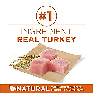 Purina ONE Plus Healthy Weight High-Protein Dog Food Dry Formula - 31.1 lb. Bag