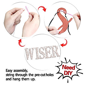 Rose Gold Glitter Older Wiser Hotter Banner, Death to My Youth 30th Birthday Banner Decorations, Funny 30th Birthday Party Decorations for Women