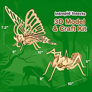 CoolToys Intrepid Insects Paint n' Play 3D Model and Craft Kit - Educational and Fun 3D Wooden Models Building and Painting Set for Kids Ages 6+ - Creative STEM Art Project for Boys and Girls
