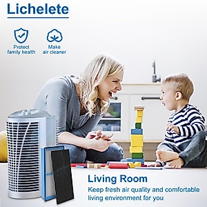 HAPF30AT Filter for Holmes AER1 HEPA Type Total Air Puri-fi-er, Compatible with Holmes HAPF30AT and HAP242-NUC, 4 HEPA + 10 Carbon Booster Filters