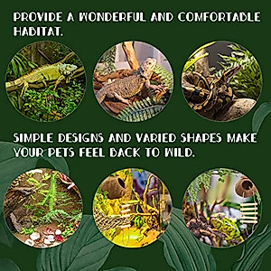 Woiworco Bearded Dragon Tank Accessories, 22 Packs Reptile Habitat Accessories Kit, Lizard Hammock Climbing Jungle Vines, Artificial Leaves, Coconut Hut, and Shells Leopard Gecko Tank Accessories