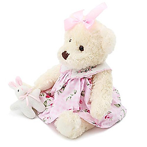 Oitscute Small Baby Teddy Bear with Cloth Cute Stuffed Animal Soft Plush Toy 10" (Pink Dress with Rabbit)