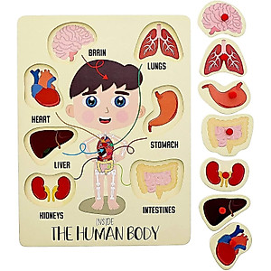 Blue Panda 2 Pack Educational Wood Peg Anatomy Puzzle Toys for Kids Game, Human Body Parts