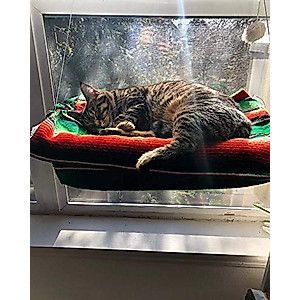 Lcybem Cat Window Perch - Cat Hammocks for Window with Plush Pad, Space Saving Cat Bed, Pet Resting Seat Safety Holds Two Large Cats, Providing All Around 360° Sunbathe for Indoor