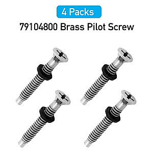 AR-PRO (79104800 Pool Light Gasket Screws with Washers - Stainless Steel Screws Compatible with Pentair IntelliBrite, Amerlite, and SAM Amerlite Pool and Spa Lights