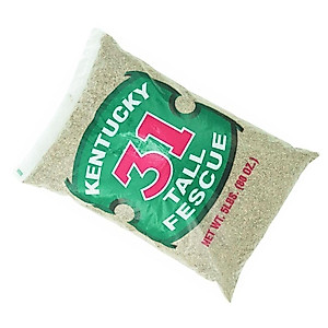 Barenbrug Tall Fescue Grass Seed 5 lb.