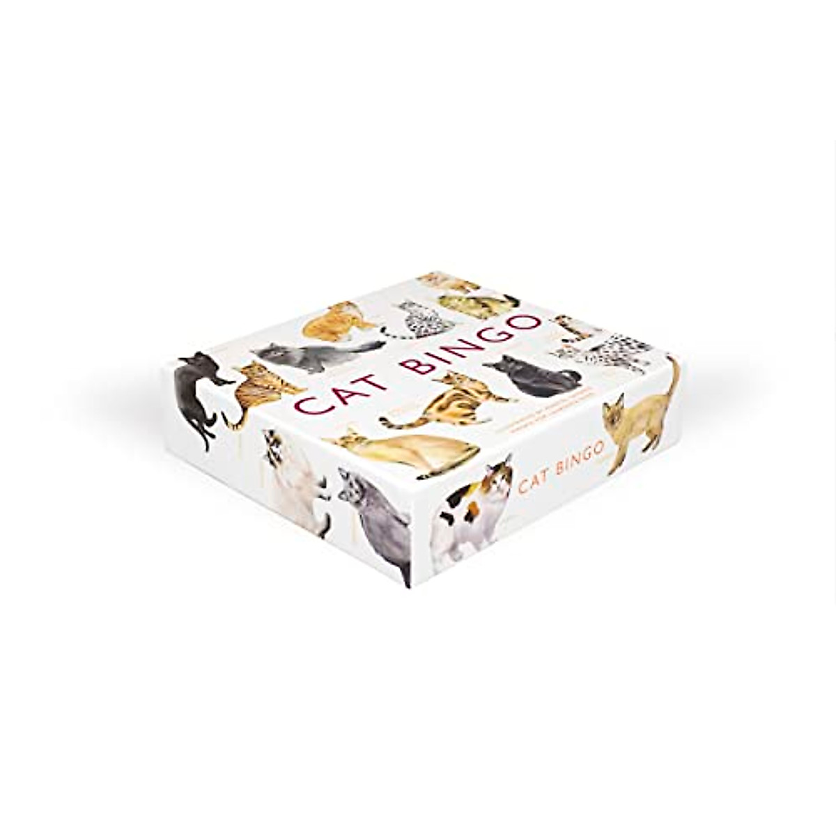 Laurence King Cat Bingo