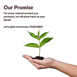 LilyLeaf Handheld Makeup Mixing Palette - Transparent Hand Tray for Mixing Foundation - Clear Acrylic Blending Plate for Makeup Lovers and Professionals with Cute Storage Bag (M)