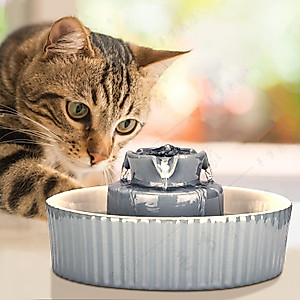 Kenepet Ceramic Cat Water Fountain, 2.1L/71oz Automatic Pet Water Fountain, 3 Filters and 2 Pumps Included, Cat Fountain Ideal for Cats, Dogs and Multiple Pets (Grey)