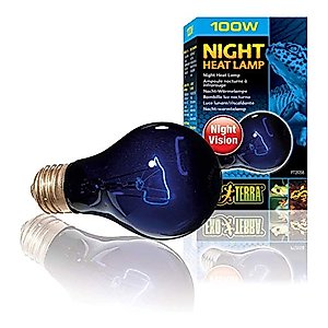 Exo-Terra Night Heat Lamp, 100 Watt
