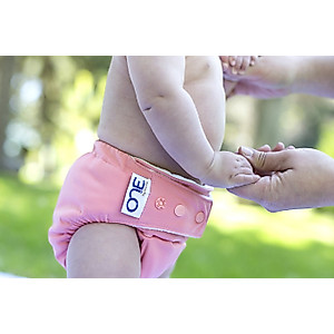 GroVia O.N.E. Reusable Baby Cloth Diaper (Cloud)